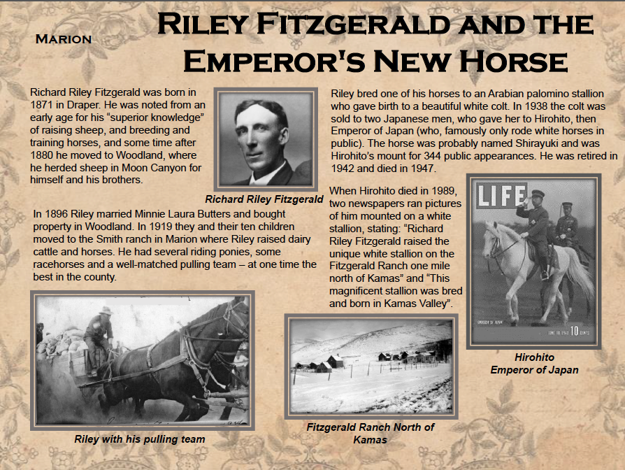 From the Calendar: Richard Riley Fitzgerald and the Emperor’s New Horse ...