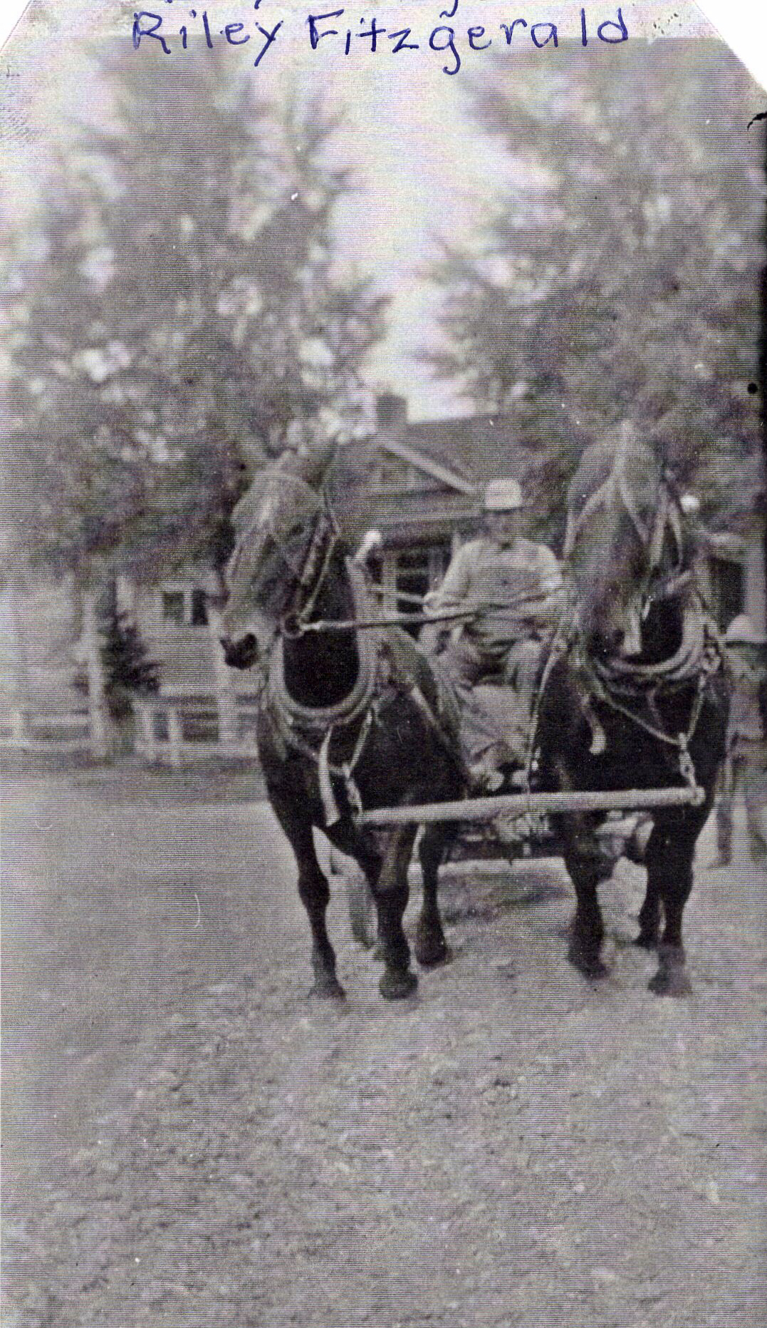 From the Calendar: Richard Riley Fitzgerald and the Emperor’s New Horse ...